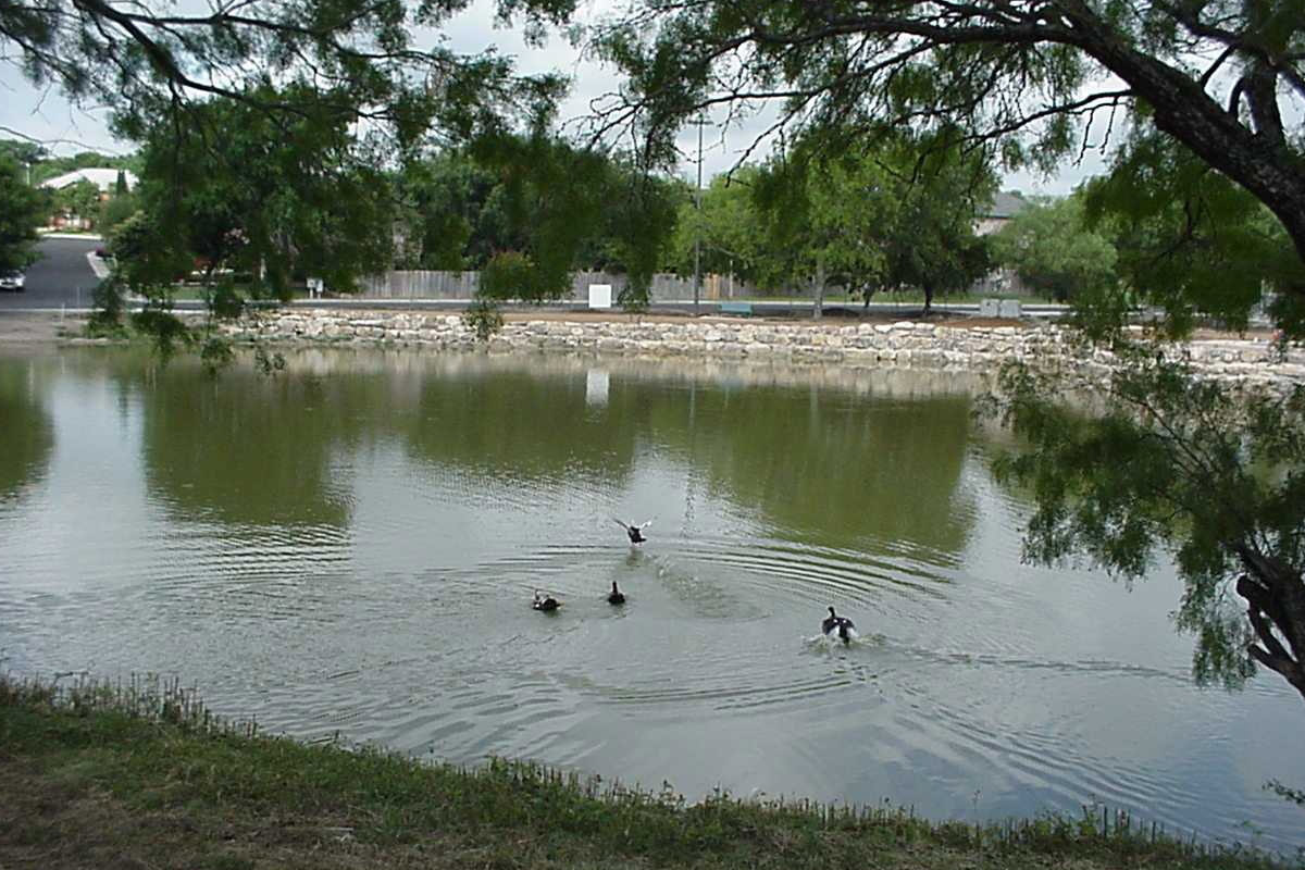 antoni pond